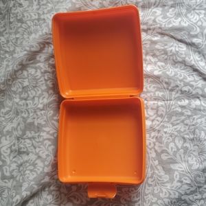 Tupperware | Kitchen | Tupperware Go Diego Go Dinosaur Fossil Orange ...